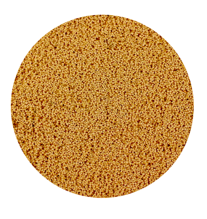 SEACHEM Hypersorb (100ml / Bag) – Green Chapter