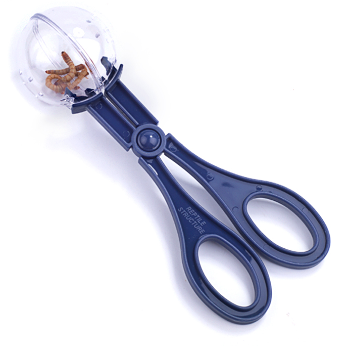 REPSHOP Handy Scoop – Green Chapter
