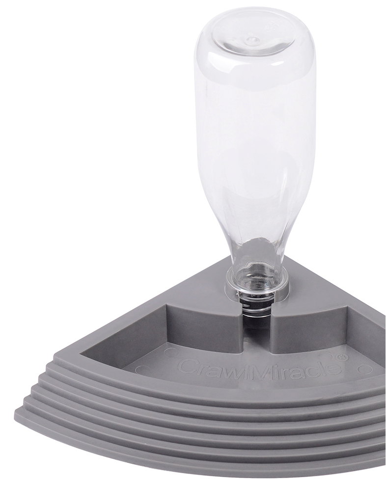REPSHOP Water Dish – Green Chapter