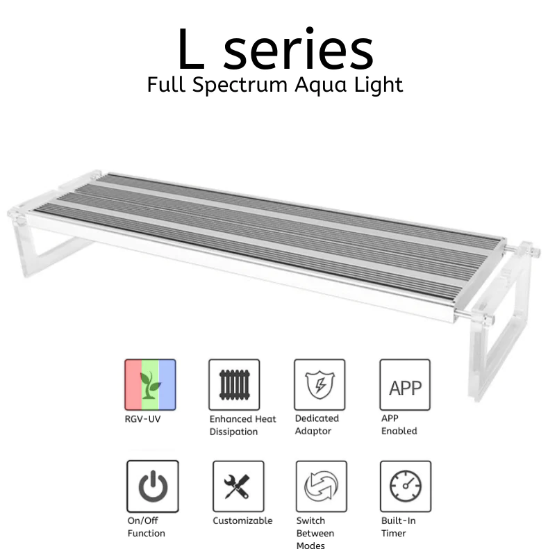 WEEK AQUA L Series (Standard) – Green Chapter